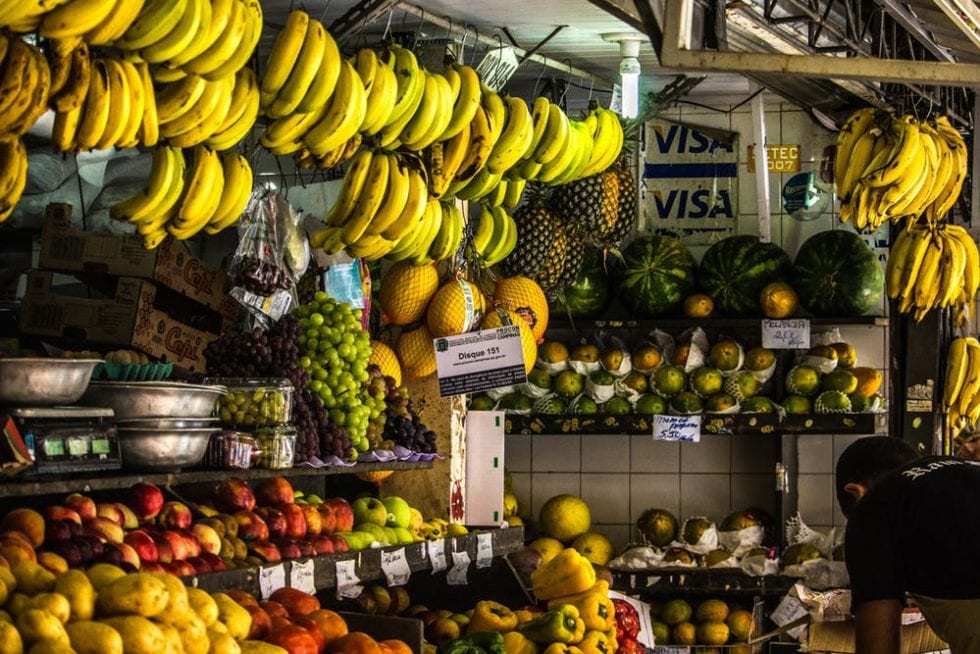 Start Fruit Business Plan| A Complete Guide | Half MBA