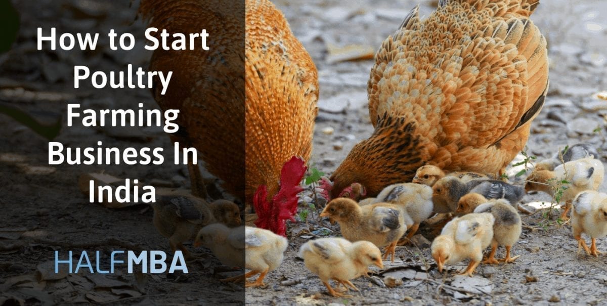 Learn How To Start A Poultry Farming Business| Half MBA