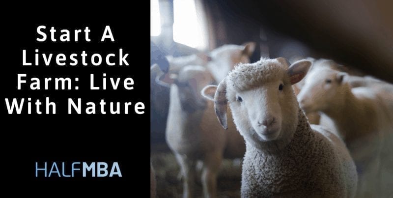 Start A Livestock Farm: Live With Nature | Half MBA