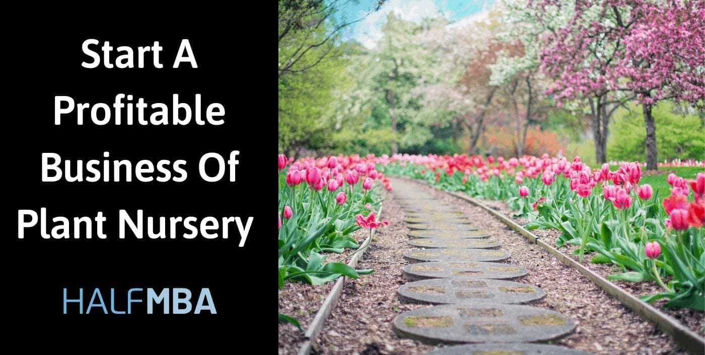 Start You Own Plant Nursery Business In India Half MBA Start You Own Plant Nursery Business In India Half MBA