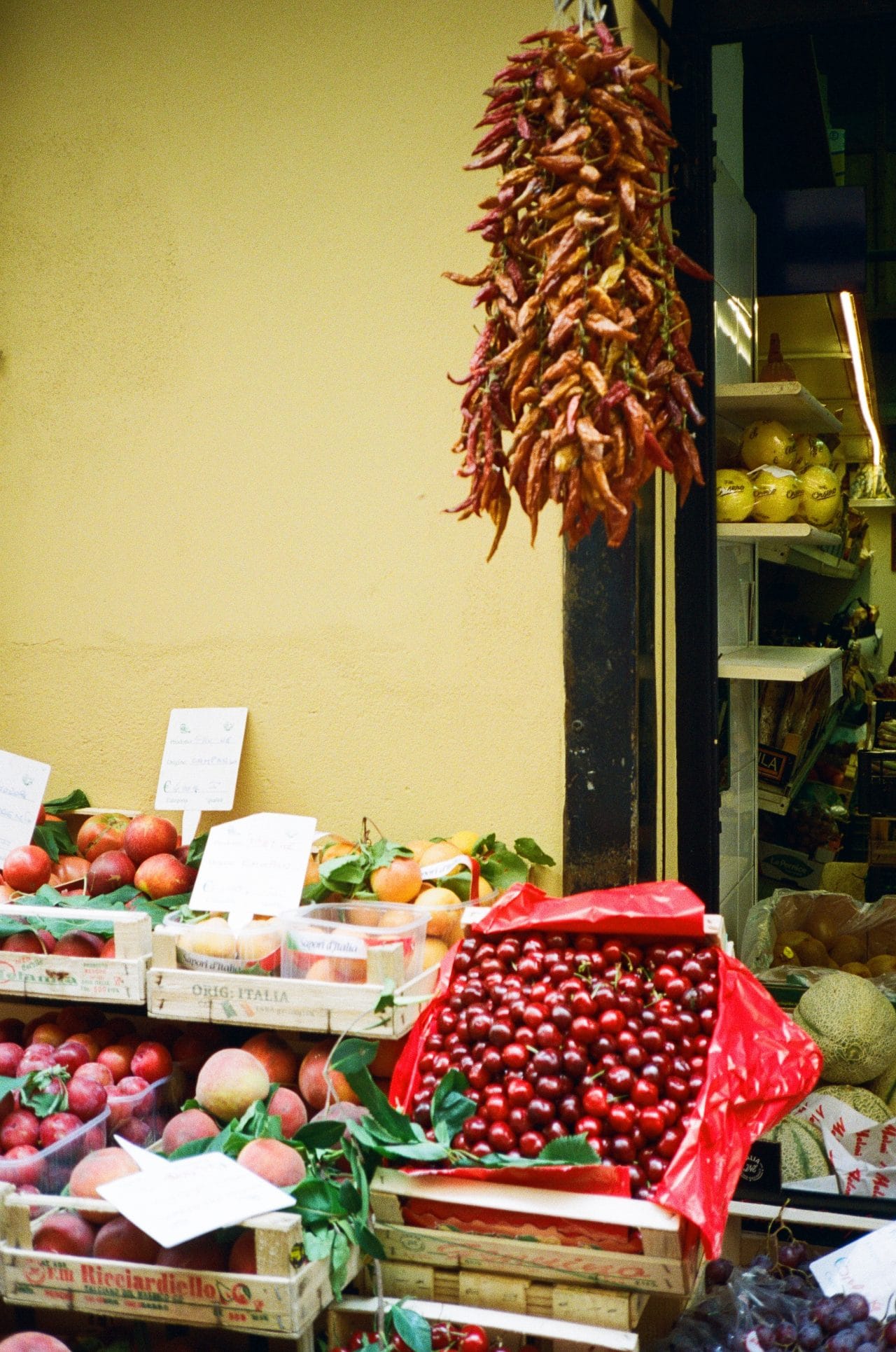 How To Start Import Export Business - 5 Step Guide | Half MBA